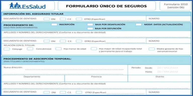 Formulario 1040 Essalud: ¿Cómo llenarlo correctamente? | MINSA
