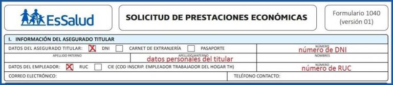 Formulario 1040 Essalud: ¿Cómo llenarlo correctamente? | MINSA