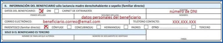 Formulario 1040 Essalud: ¿Cómo llenarlo correctamente? | MINSA