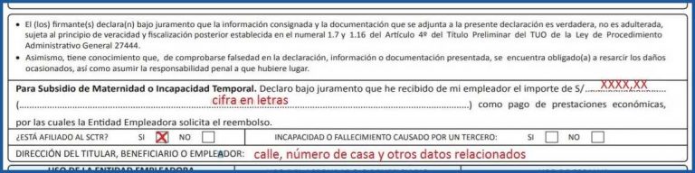 Formulario 1040 Essalud: ¿Cómo llenarlo correctamente? | MINSA